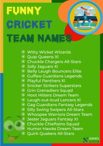 820+ Funny Cricket Team Names