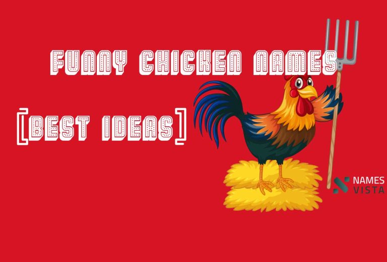 550+ Funny Chicken Names [Best Ideas]