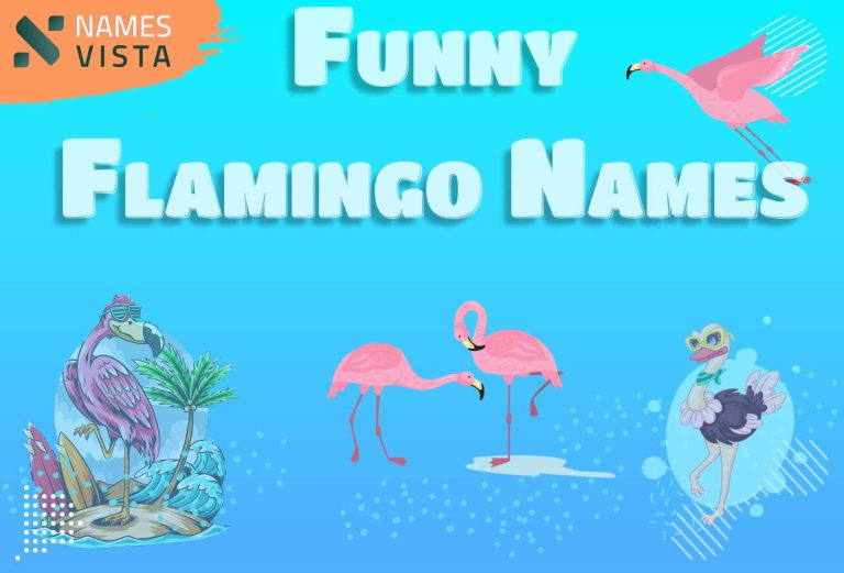 360+ Funny Flamingo Names