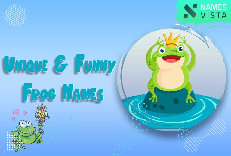 410+ Funny Black Cat Names [Cool Ideas]