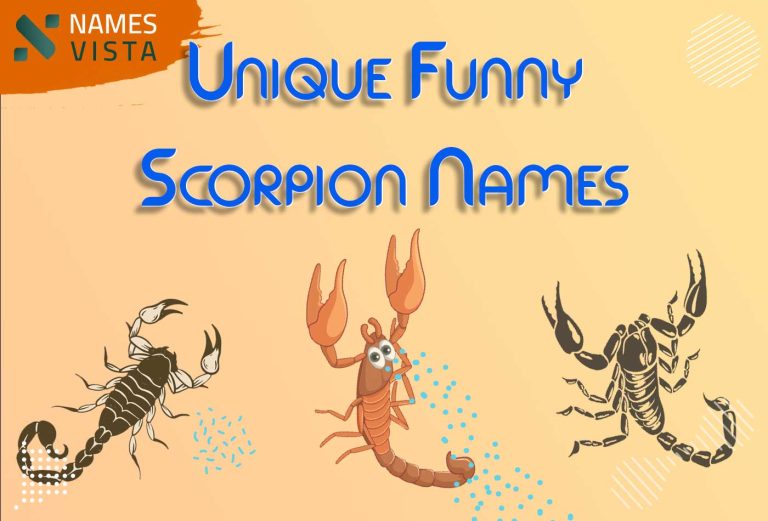 410+ Unique & Funny Scorpion Names