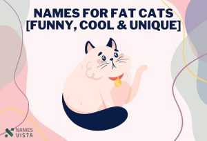 280+ Names for Fat Cats [Funny, Cool & Unique]