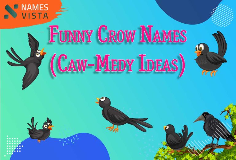270+ Funny Crow Names (Caw-Medy Ideas)